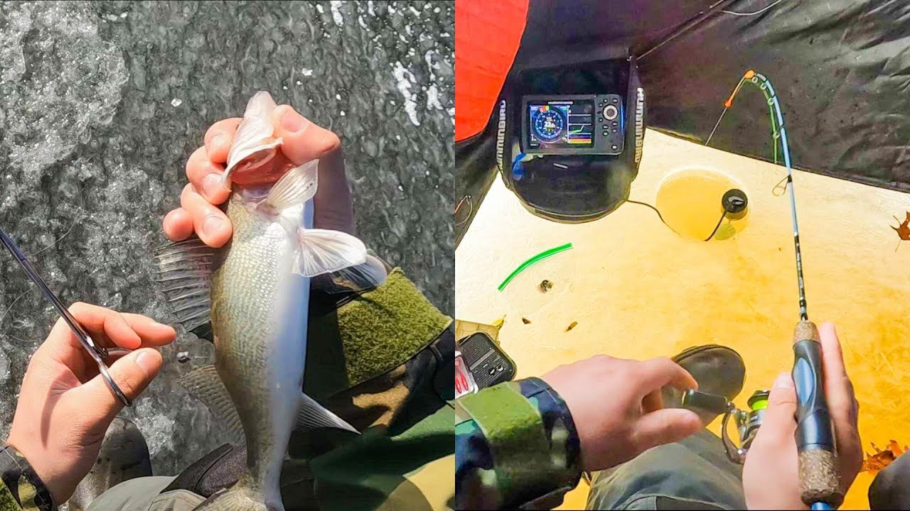 Non-stop Walleye and Crappie Action! | Wisconsin Ice Fishing - YouTube