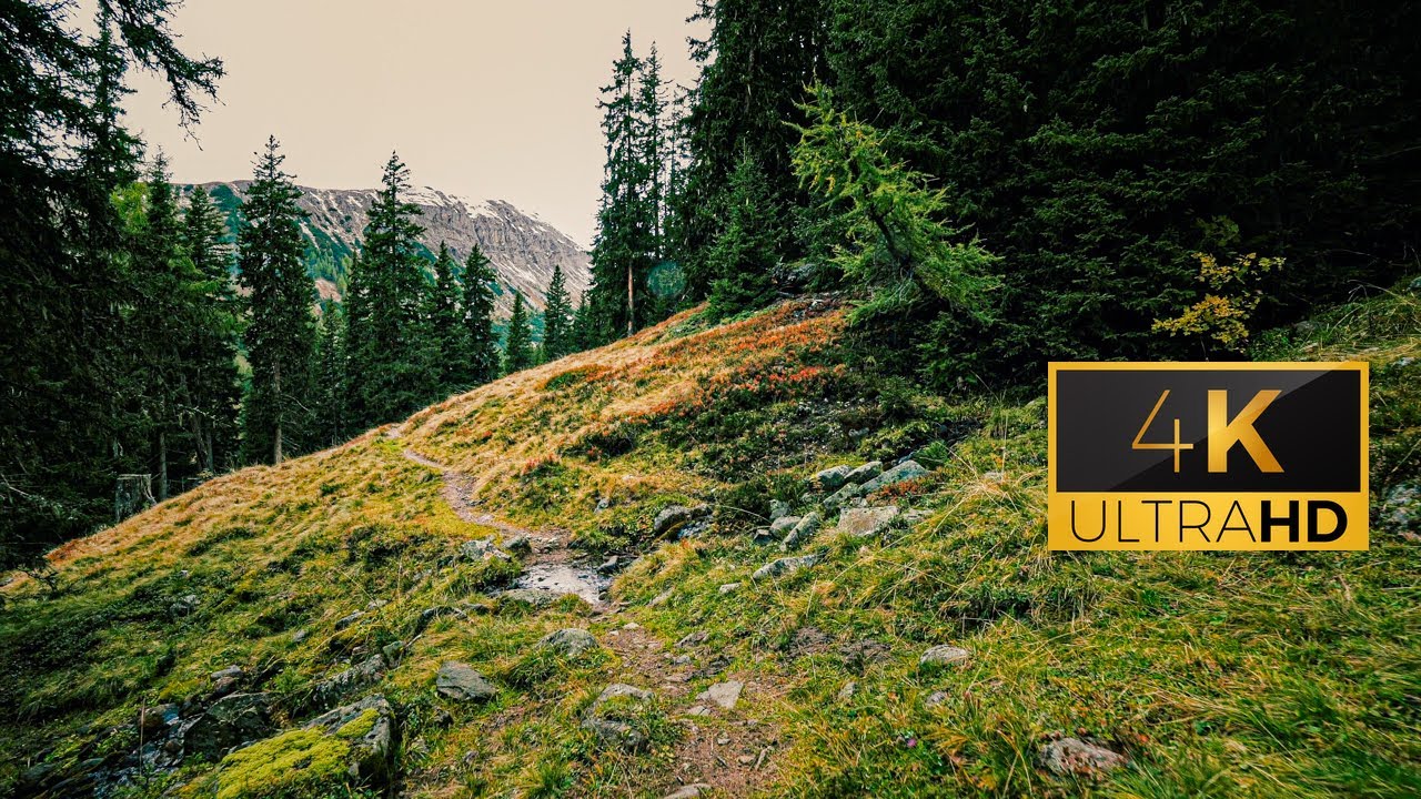 4k Virtual Walk through the Forests of Davos - Original Sound ASMR ...