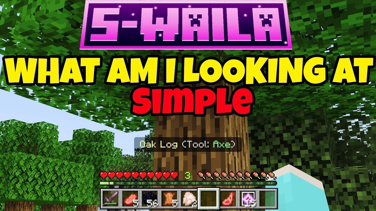 🔥 S WAILA Addon For Android in MCPE/Minecraft PE 1.21.44/1.21+ | ZorroCraft - YouTube