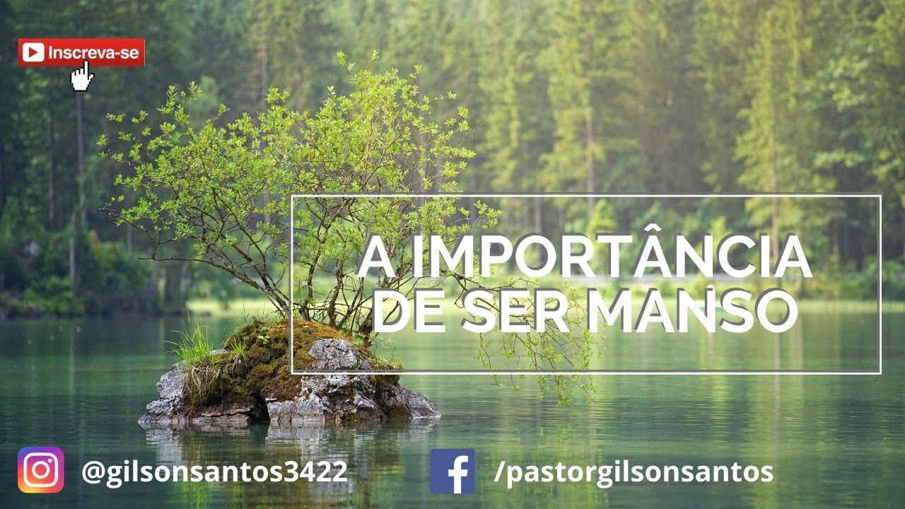 "A IMPORTÂNCIA DE SER MANSO" - YouTube