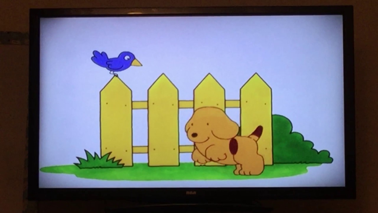 Spot the Dog Theme Song Opening🐶 - YouTube