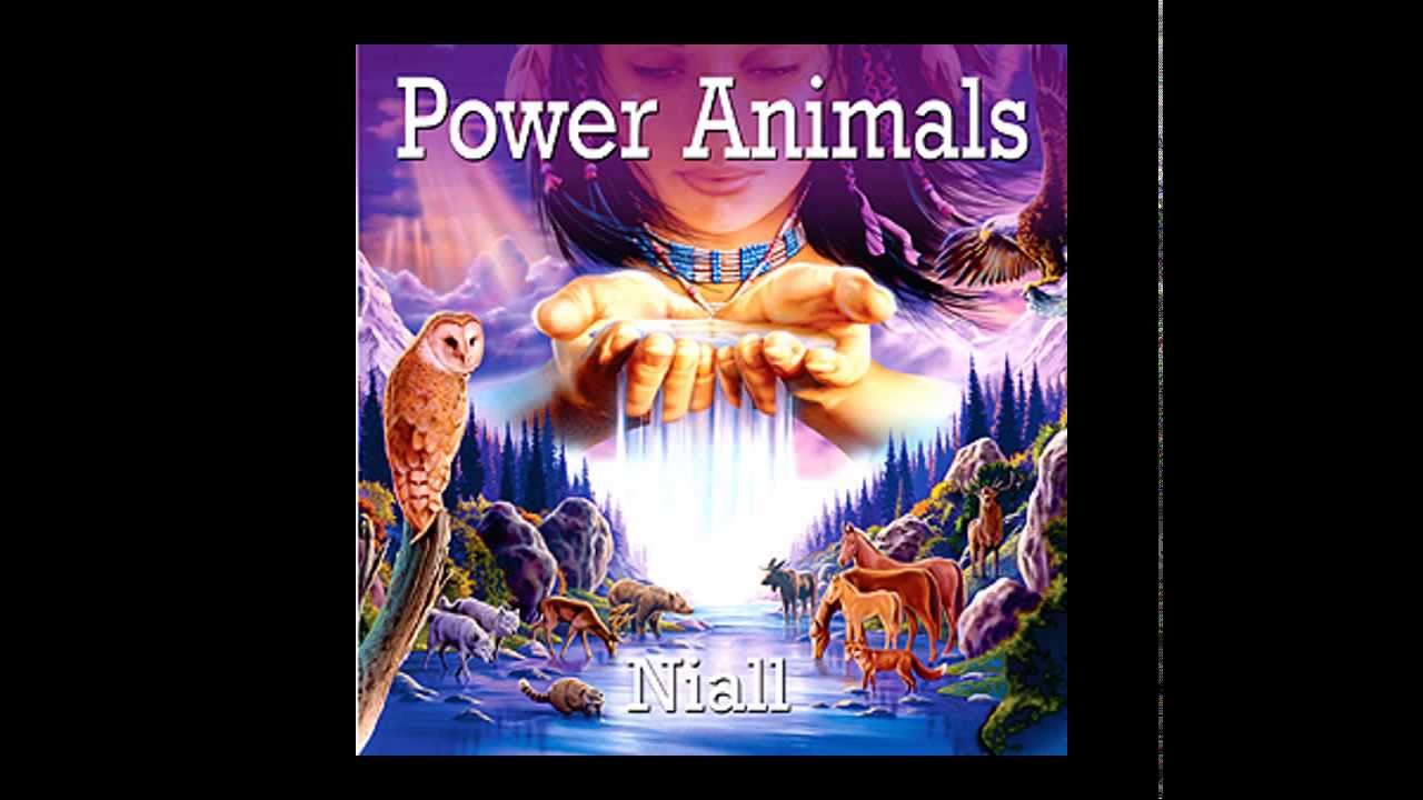 The Bear (Power Animals) - YouTube