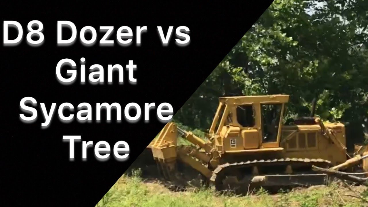 D8 Dozer vs Tree - YouTube