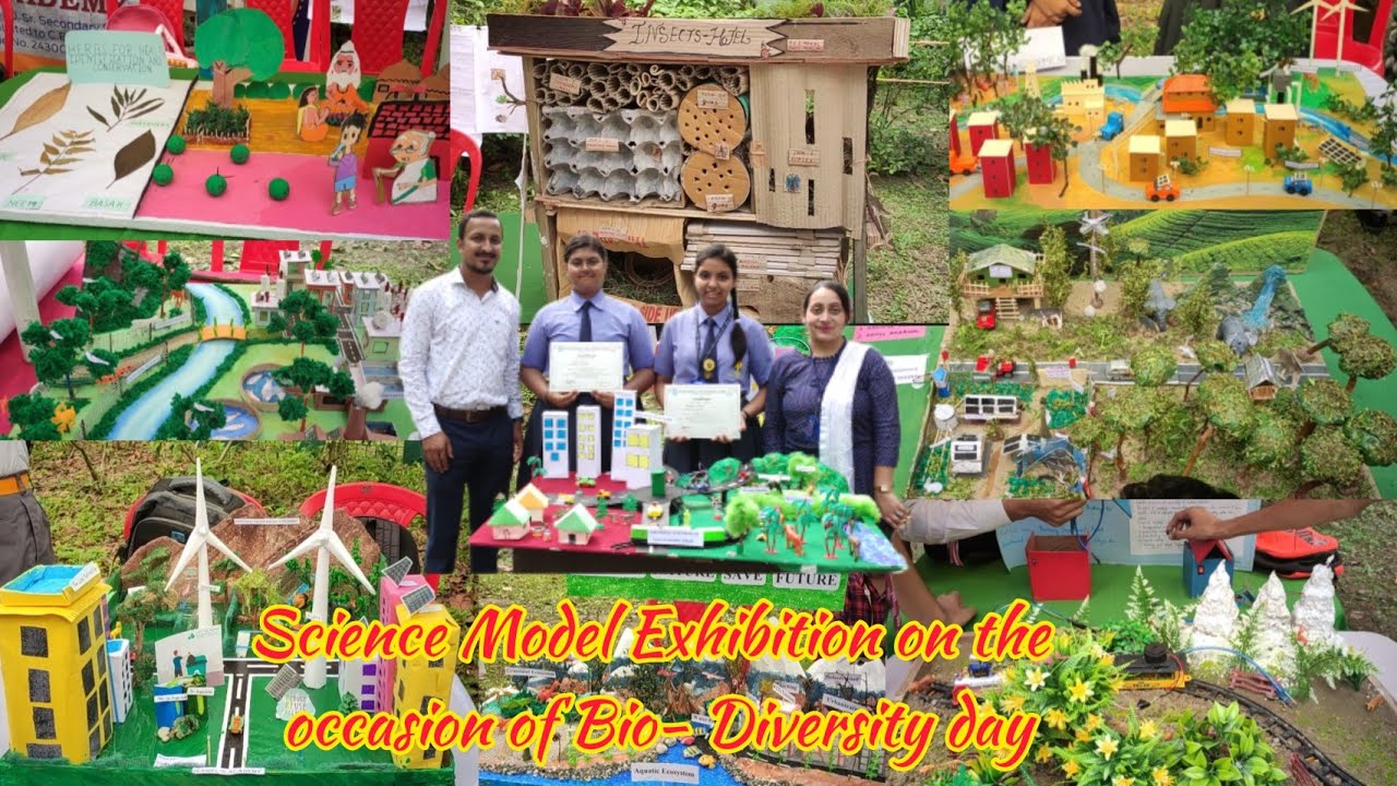 Science Model Competition on the occasion of Bio Diversity Day 22 at ...