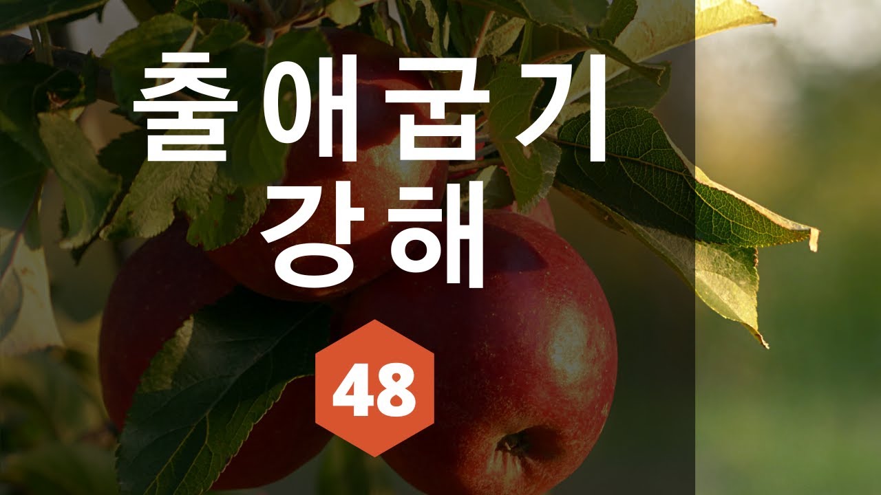 출 34 1 9 출애굽기 강해 48 20130616 Youtube