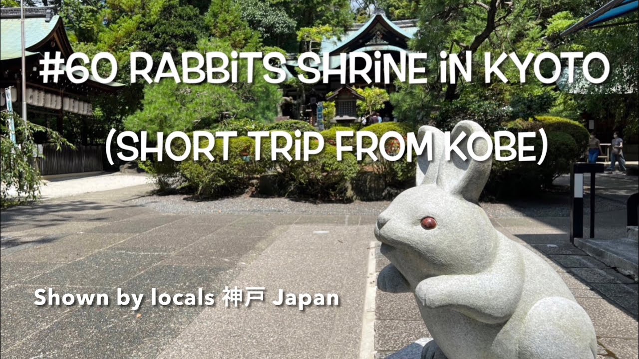 Rabbits Shrine in Kyoto (short trip from Kobe) #60 Kobe Japan, Why don ...