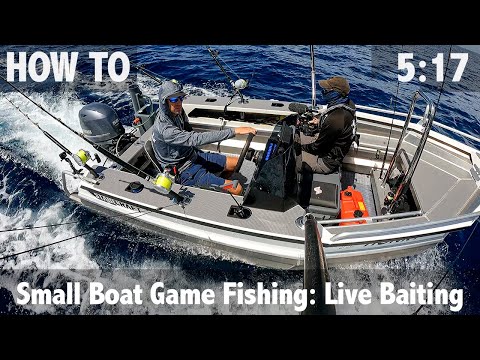 Small Boat Game Fishing: Live Baiting - YouTube