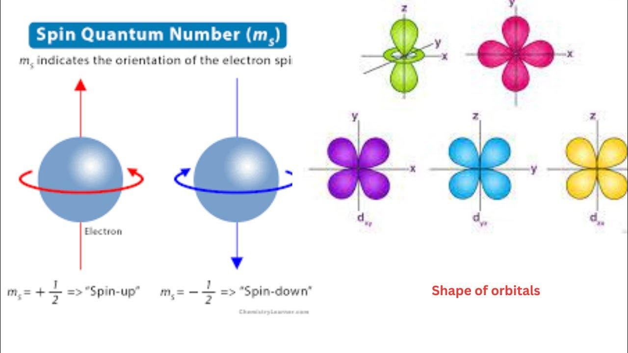 Spin Quantum number & Shape of orbitals || Shape of S & P orbitals - YouTube