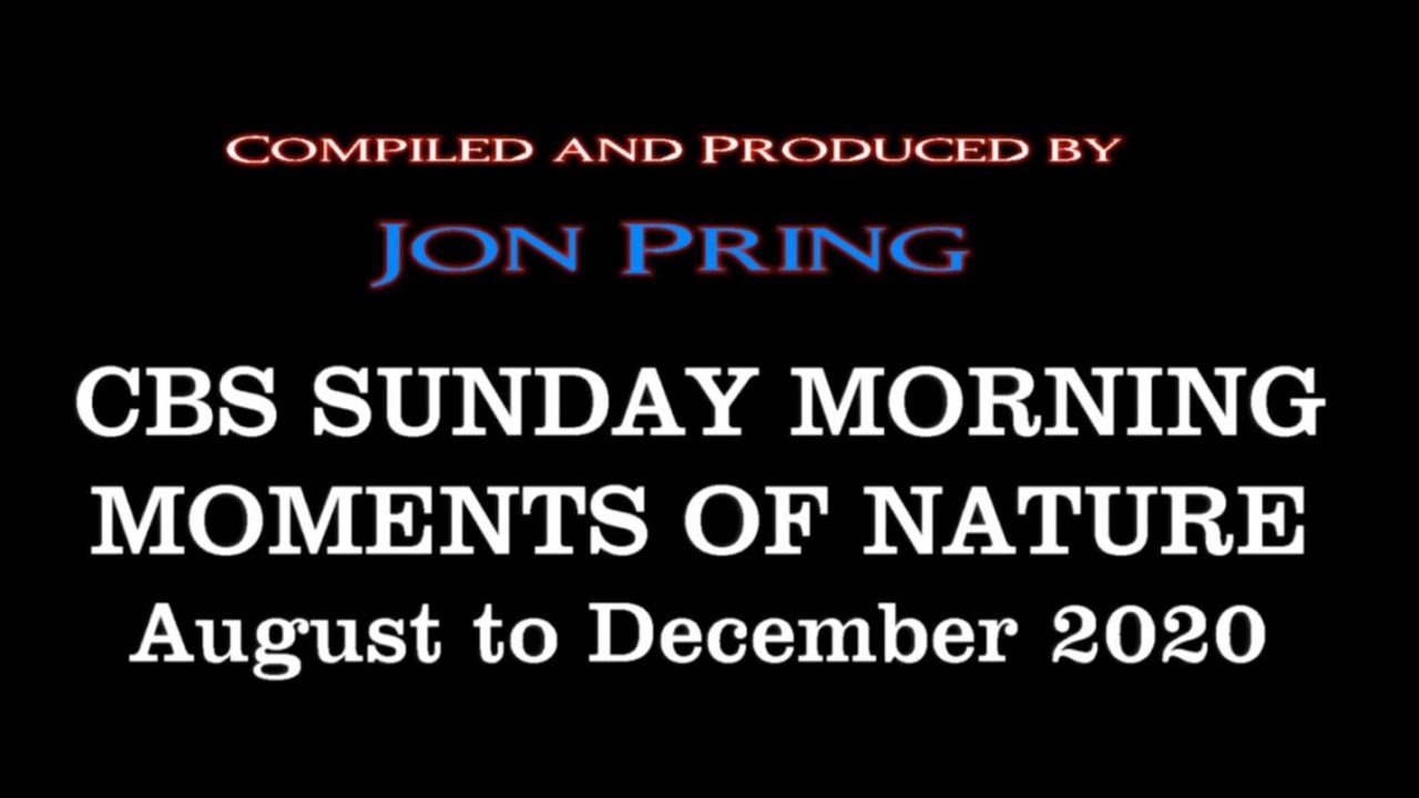 CBS Sunday Morning Moments of Nature Aug-Dec 2020 - YouTube