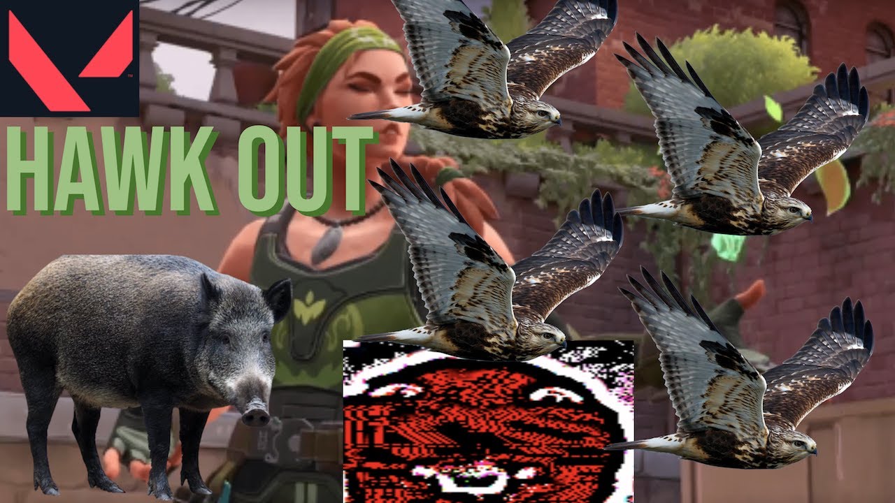 HAWK OUT || Valorant Highlights 2 - YouTube