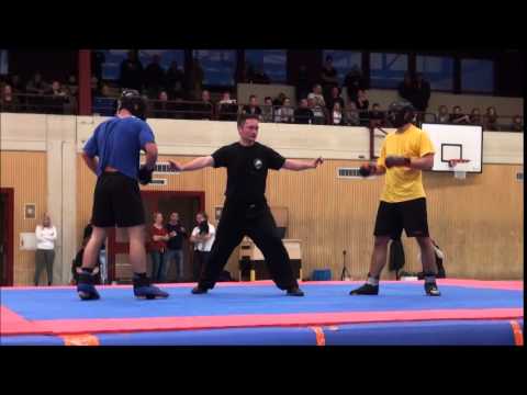 LT13-LEI TAI/2014-Nermin Softic vs Christos Dartzidis ( Sanda vs Hung ...