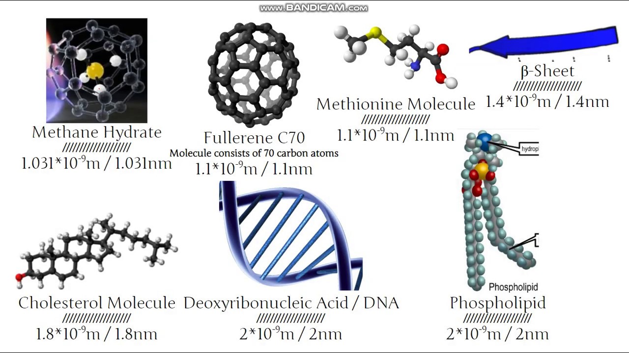 SIZE COMPARISON 2 PART 6 (1nm to 1μm) - YouTube