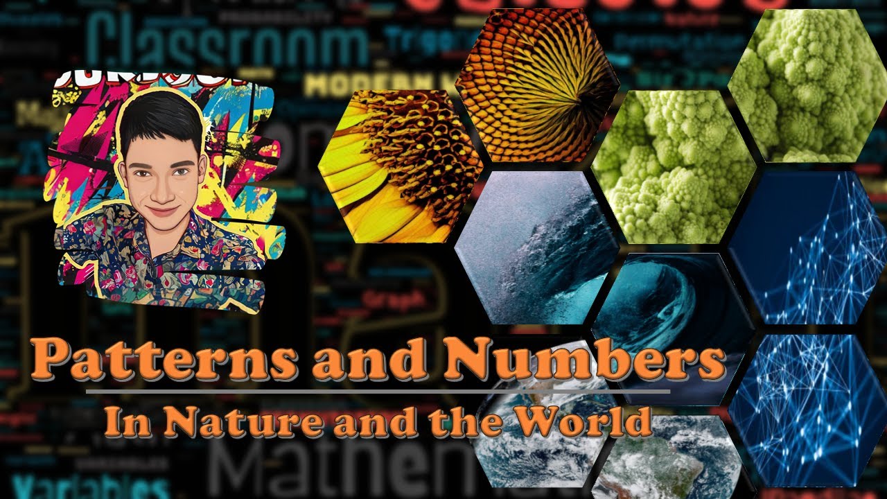 Patterns And Numbers In Nature And The World YouTube patterns-and-numbers-in-nature-and-the-world-youtube