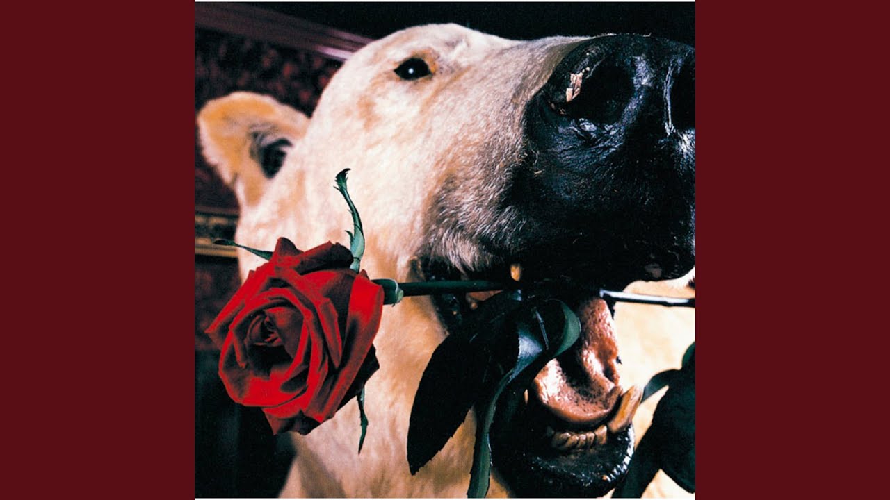 Sayonara Bye Bye - YouTube