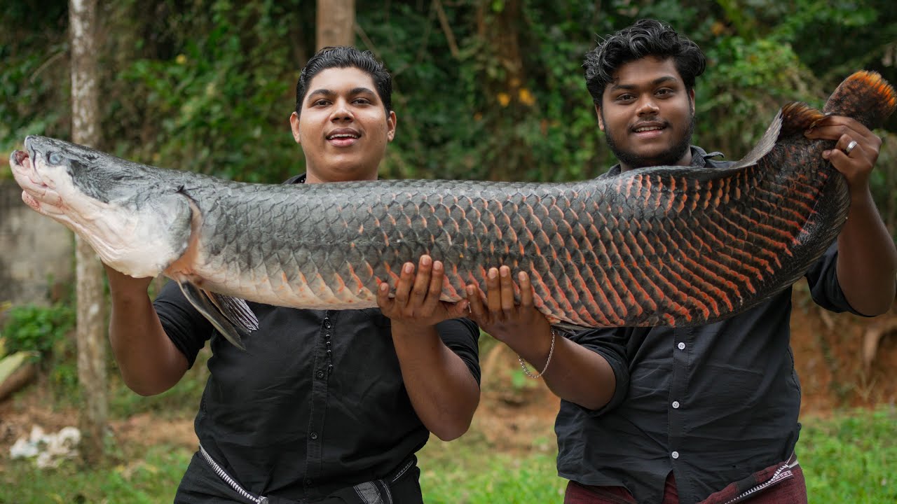 Arapaima Fry | ₹118000/- Worth Arapaima Cutting And Cooking | Arapaima ...