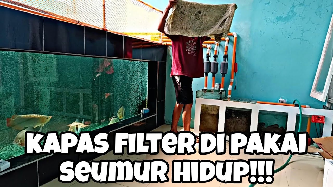 Kapas Putih Filter Aquarium terbaik bisa di cuci berkali kali.Perawatan ...