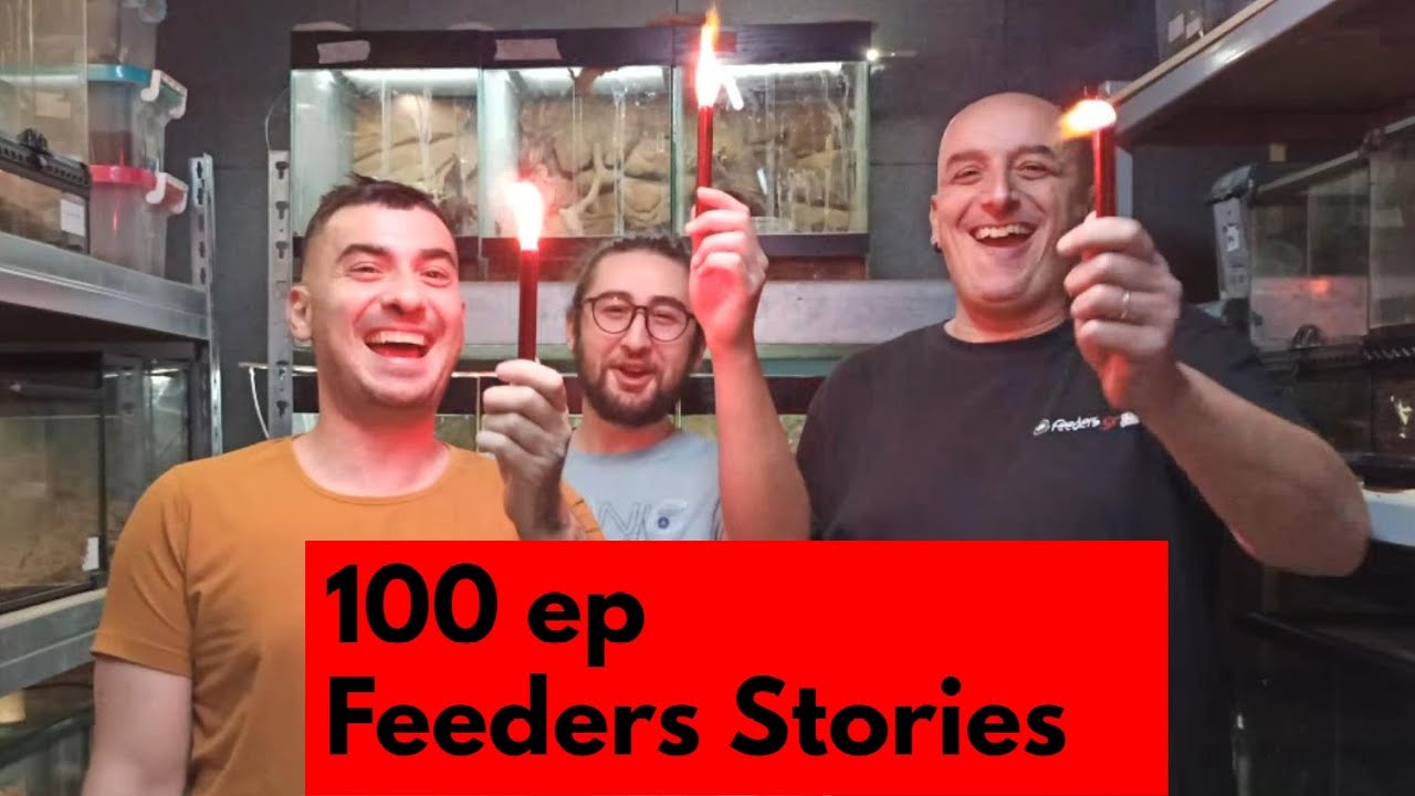 100ο επισόδειο Feeders Stories - YouTube