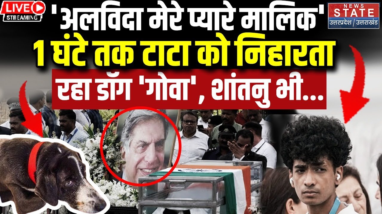 Ratan Tata Last Rites LIVE: 1 घंटे तक टाटा को निहारता रहा डॉग 'Goa ...
