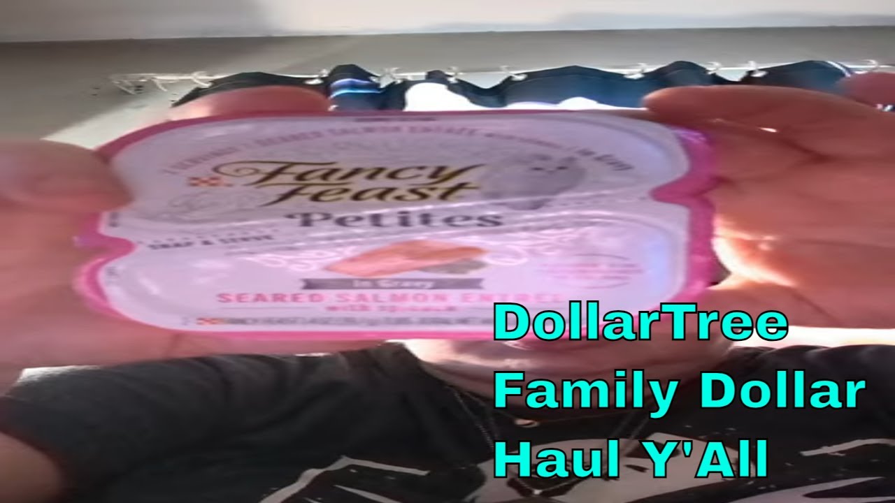 Small Dollar Tree/Family Dollar Haul Y'All - YouTube