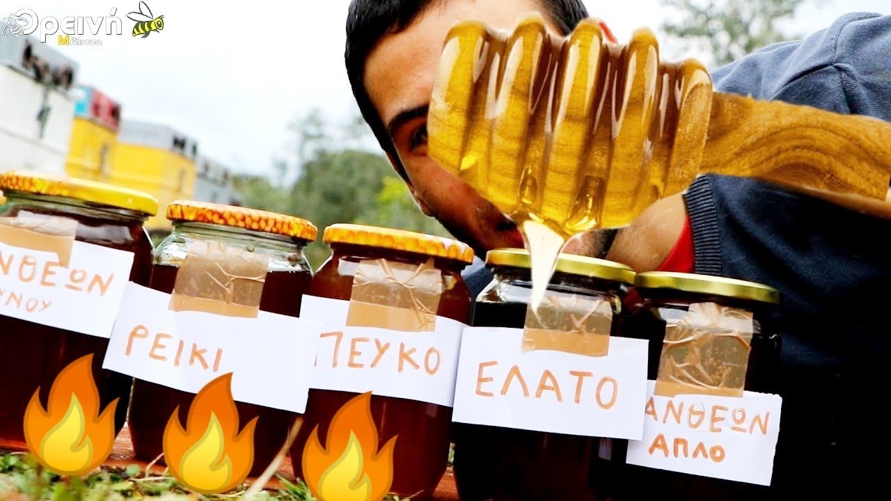 Δοκιμάζω ΣΠΑΝΙΑ Είδη ΜΕΛΙΟΥ με μια ξύλινη ΚΟΥΤΑΛΑ 🔥 - YouTube