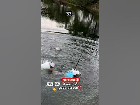 Alligator Chases Florida Fisherman😱🐊 #shorts #dangerous #interesting ...