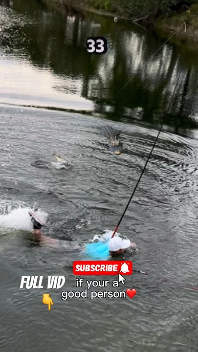 Alligator Chases Florida Fisherman😱🐊 #shorts #dangerous #interesting ...