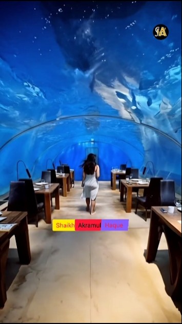 Lovers Deep luxury submarine hotel #facts #submarine - YouTube