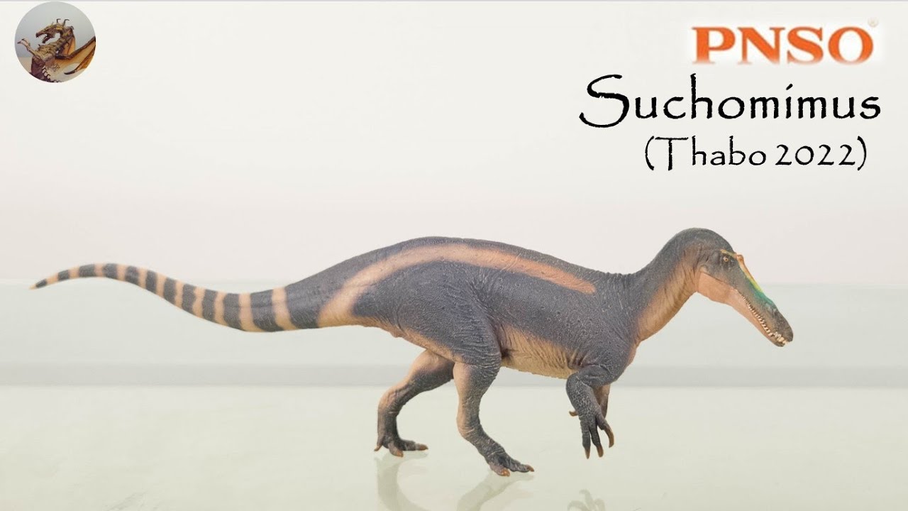 222: PNSO Suchomimus Review - YouTube