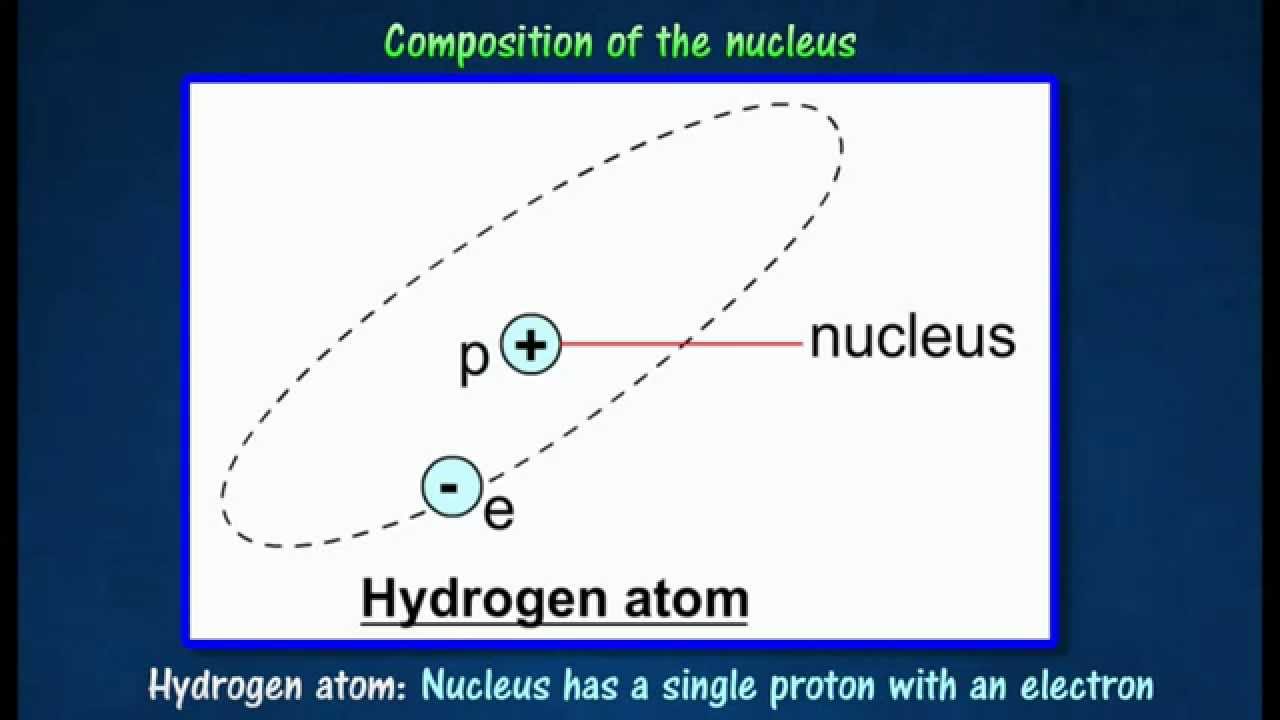 [5.1] Composition of the nucleus - YouTube