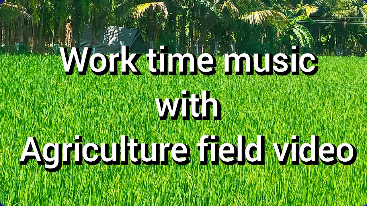work time music with beautiful video - YouTube