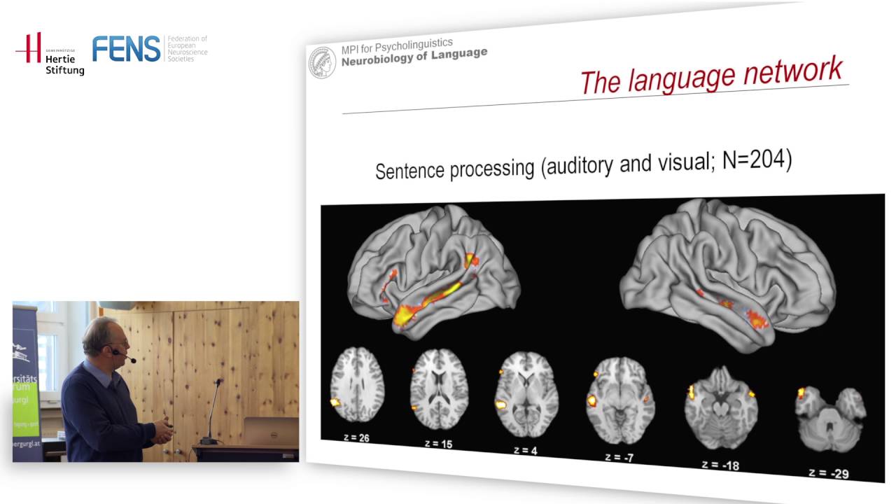 FENS Hertie Winter School 2015: Peter Hagoort on Language from an ...