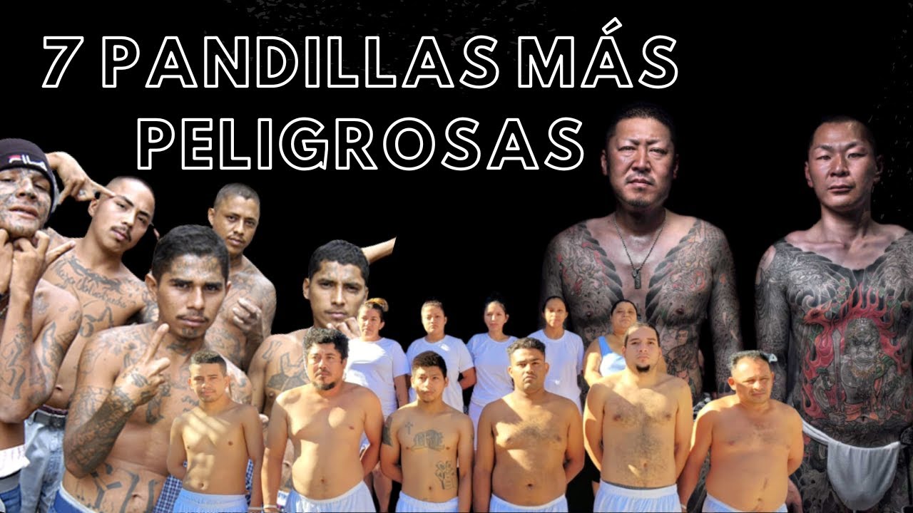 MIRA para OTRO LADO si los ves... TOP 7 PANDILLAS más PELIGROSAS del ...