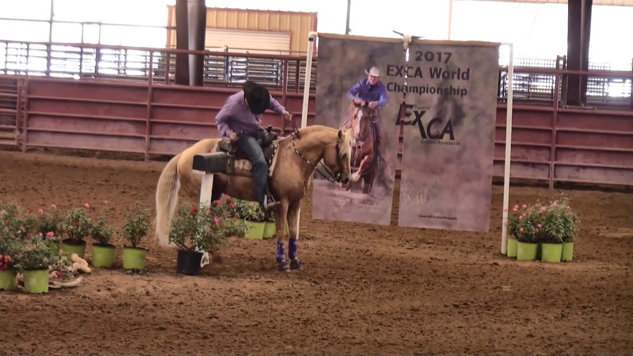 Bill Cameron Extreme Cowboy - 2017 EXCA World Finals (2nd go) - YouTube