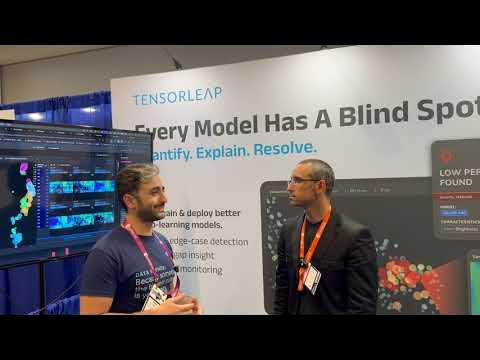 CVPR 2025: Exclusive Talk with Yotam Azriel (CEO & CTO & Co-Founder at TensorLeap) - YouTube