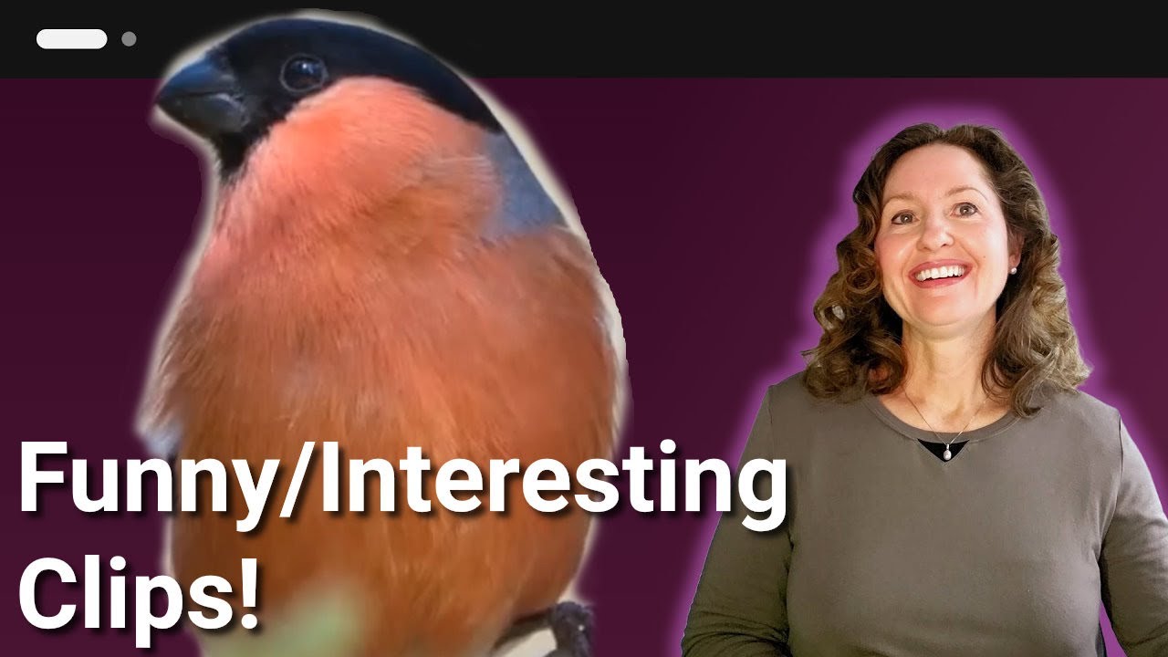 Funny/Interesting Clips from the latest OSFirstTiemr video! - YouTube