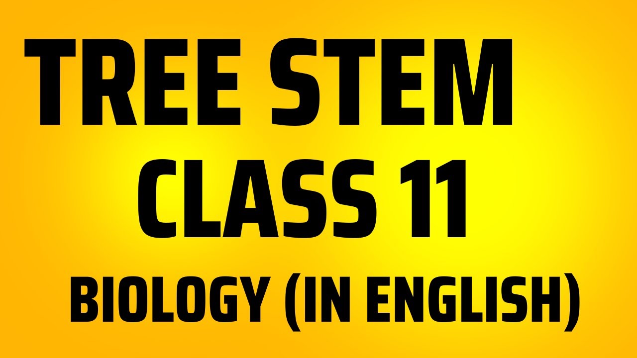 stem of plant in biology , morphology of flowering plants stems class 11 neet cbse english ...