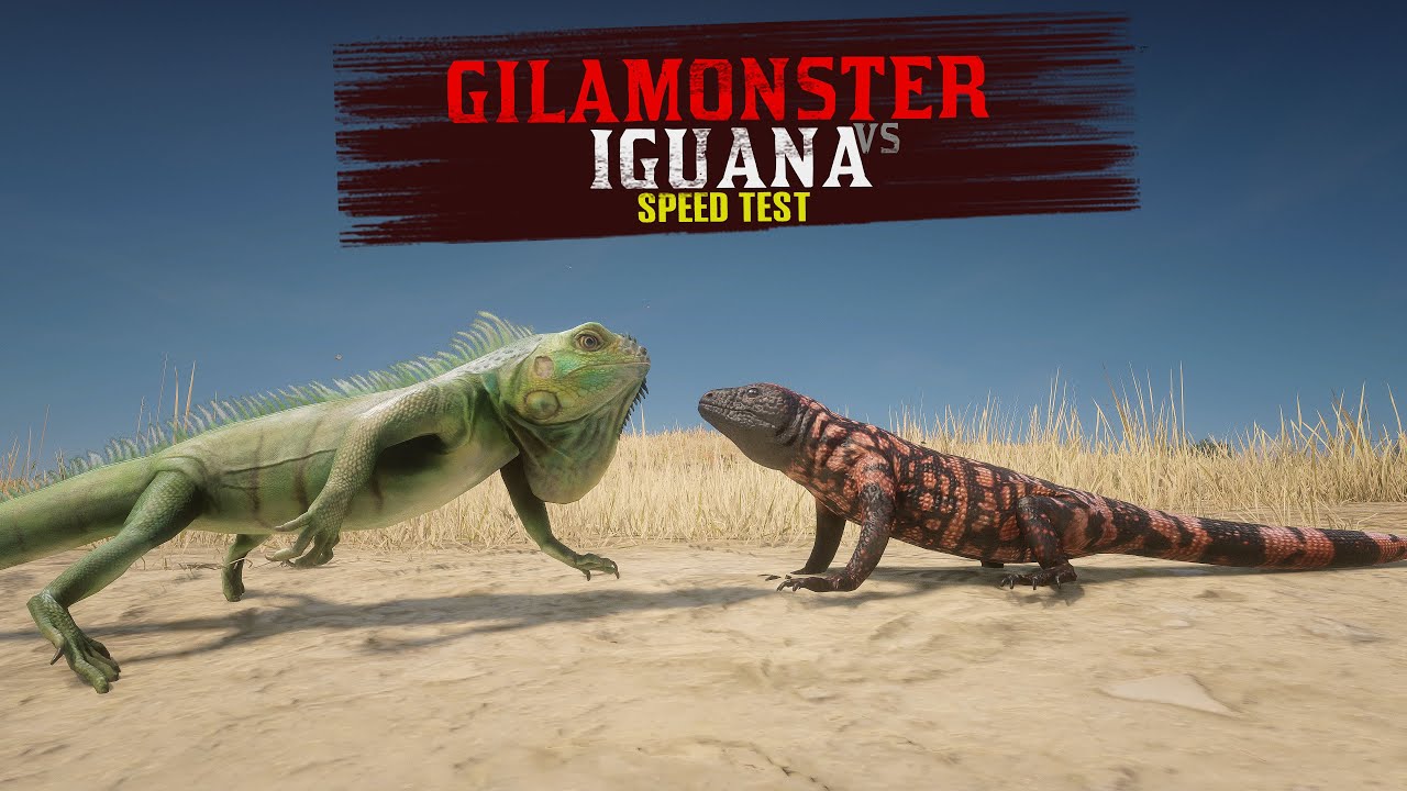 GilaMonster vs IGUANA Speed Test in Red Dead Redemption 2 PC 4K - YouTube