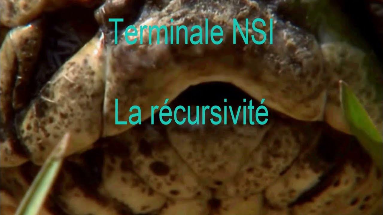Récursivité Youtube