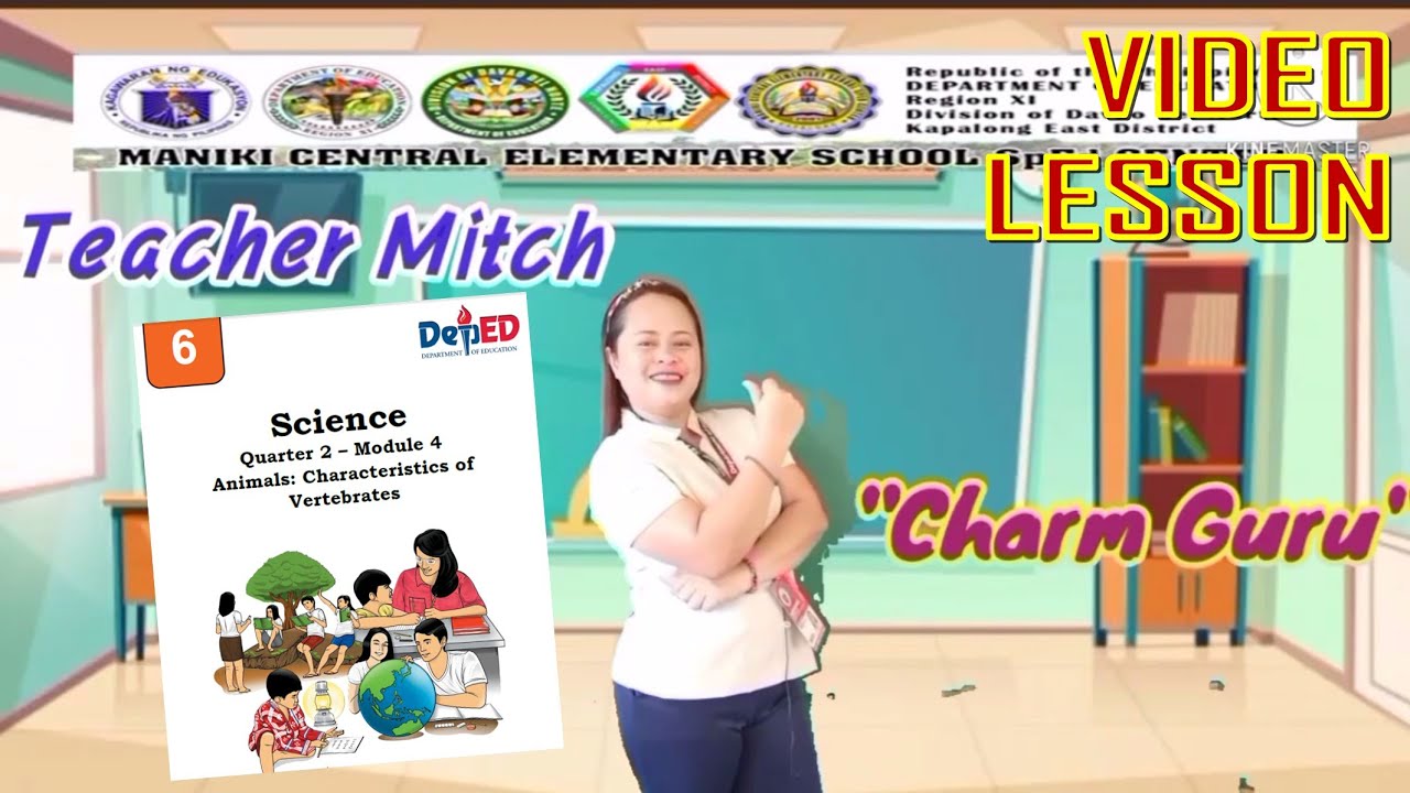 Science 6 Q2 Module 4 Vertebrates (Video Lesson) - YouTube