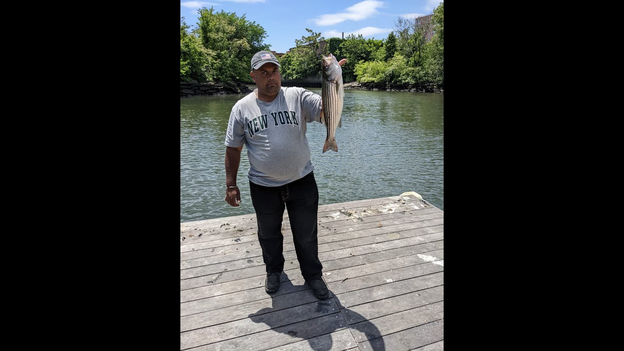 New Fishing Site || Starlight Park || Bronx River Fishing || 2022 - YouTube