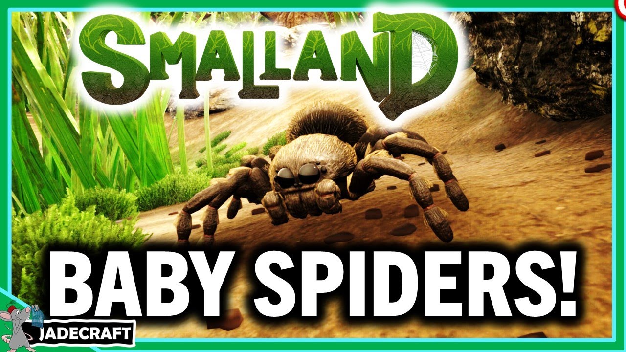 SMALLAND BABY SPIDERS! Changing Seasons And Weather! Get More Info ...