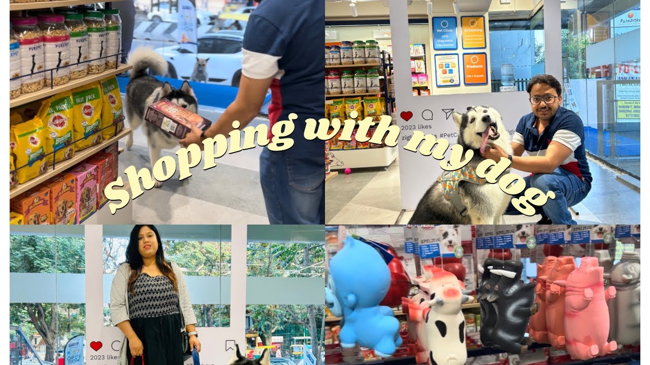 Shopping with my Dog | VLOG | Husky goes shopping #dogs #viral #vlogs # ...