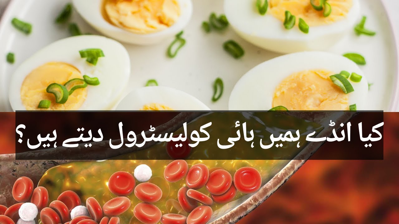Do Eggs Give Us High Cholesterol Nutritionist Offers Insights Daily do-eggs-give-us-high-cholesterol-nutritionist-offers-insights-daily