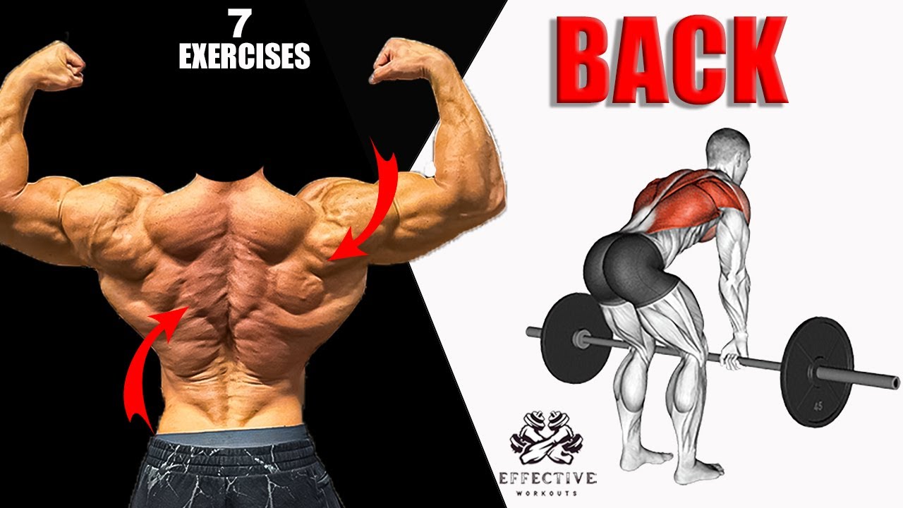 Effective Back Exercises At Gym - BACK WORKOUTS - YouTube