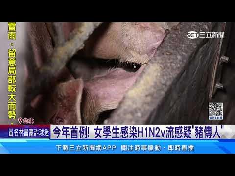 常跑養豬場！ 女學生感染H1N2v流感疑「豬傳人」｜三立新聞網 SETN.com - YouTube