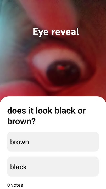 Eye reveal #eyecolor - YouTube