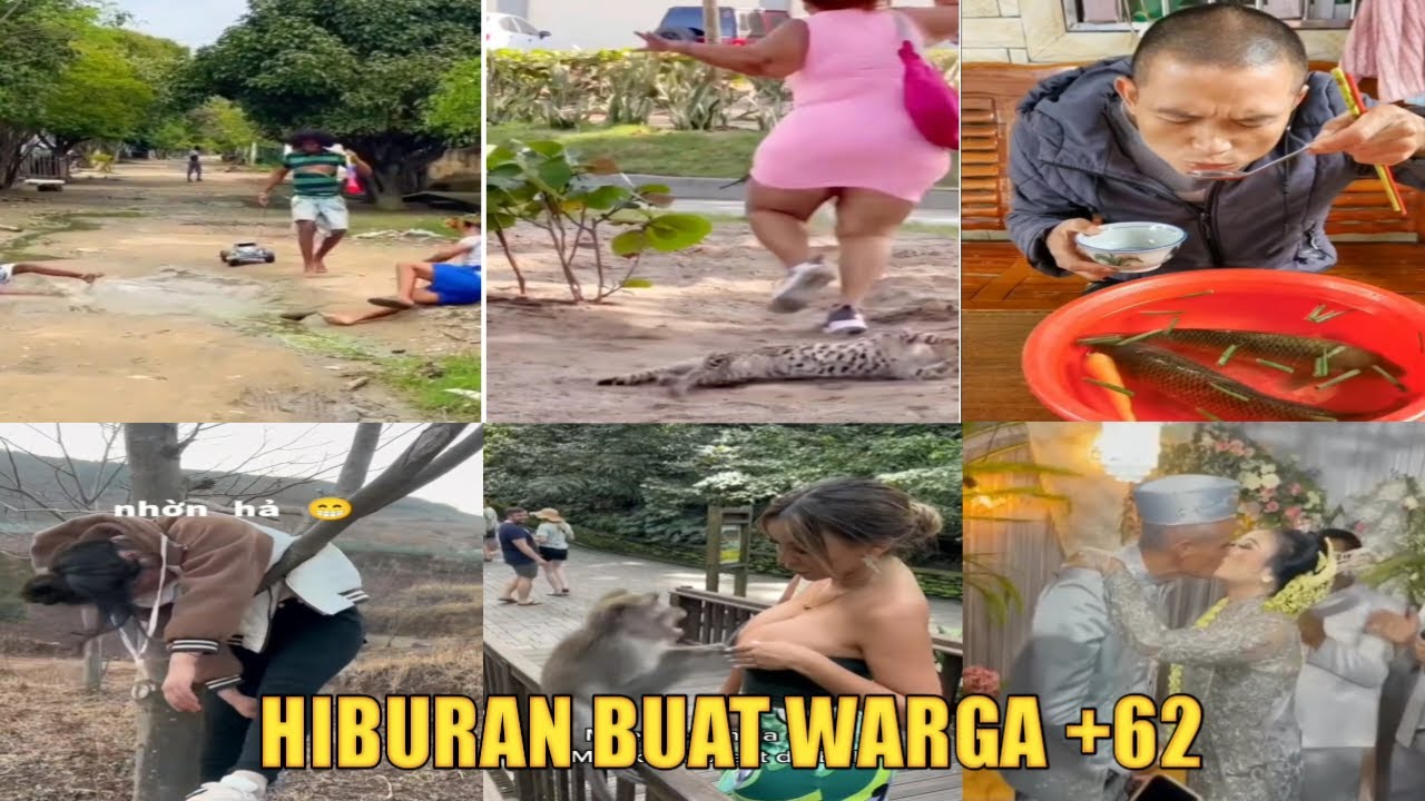 Kumpulan Video Lucu Bikin Ngakak Terus Ngocok Perut Youtube