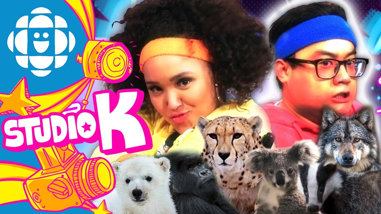 3 Second Animals: Kingdom Force Edition | CBC Kids - YouTube