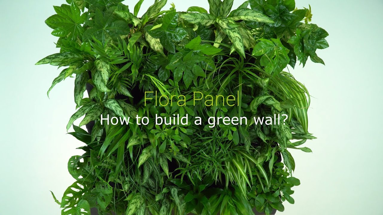 Flora Panel - How to build a green wall - YouTube