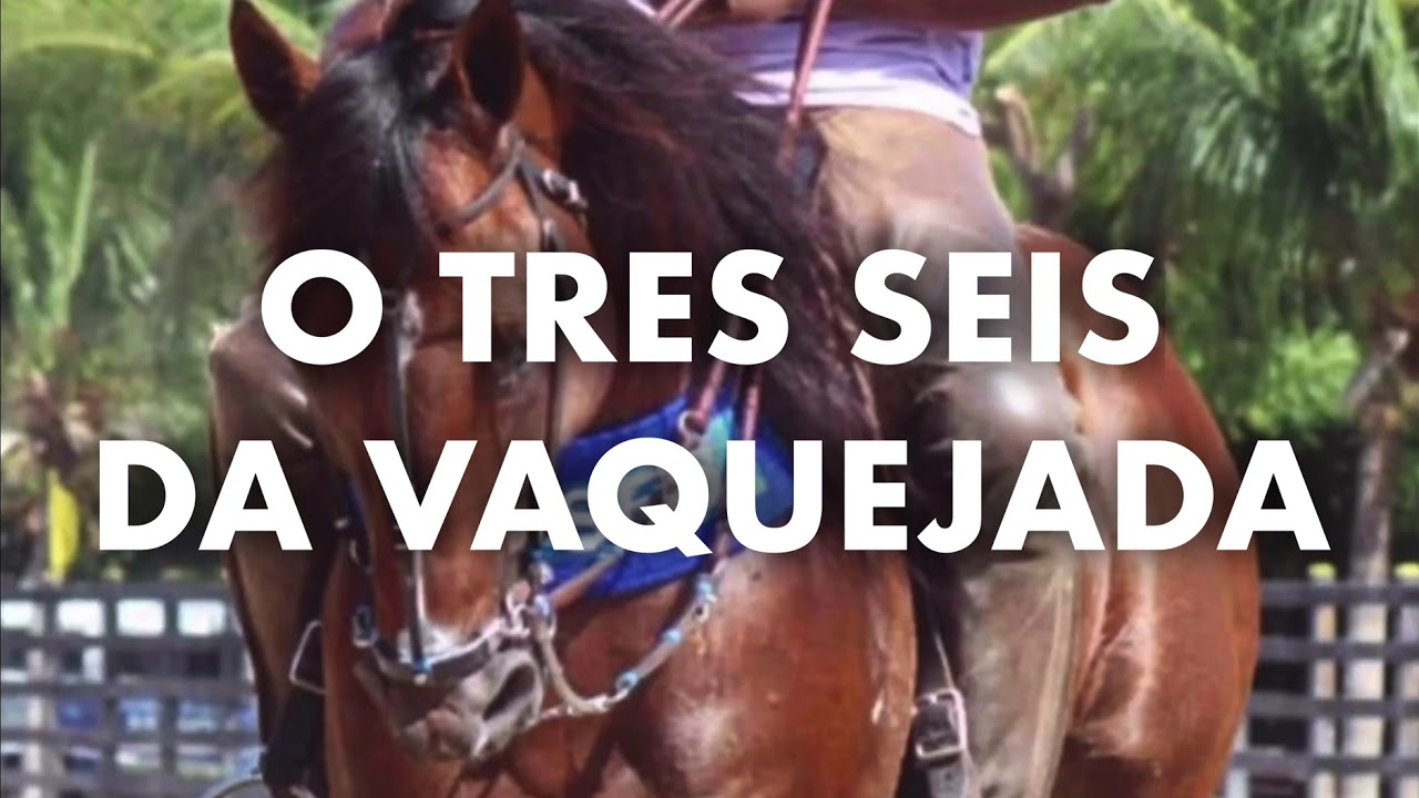 HARAS SHOW VOLTA COM TUDO NA VAQUEJADA - YouTube